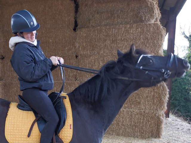 17 Beginner Horse Riding Easy Fixes – With Photos – Equestrian Life Today