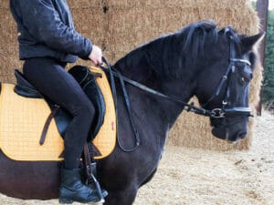 17 Beginner Horse Riding Easy Fixes – With Photos – Equestrian Life Today