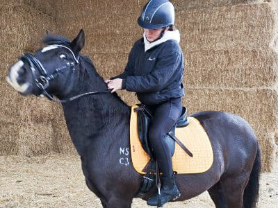 17 Beginner Horse Riding Easy Fixes – With Photos – Equestrian Life Today